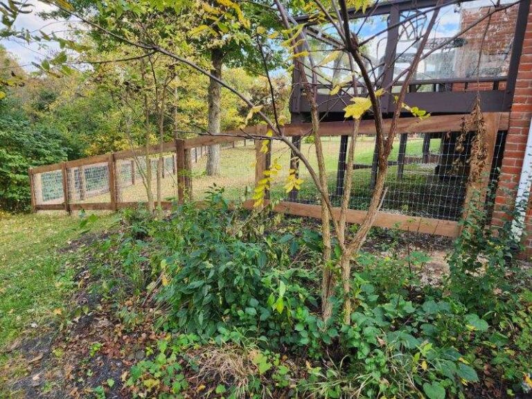 Fence Building Services in Ohio | Scheiderer Fence